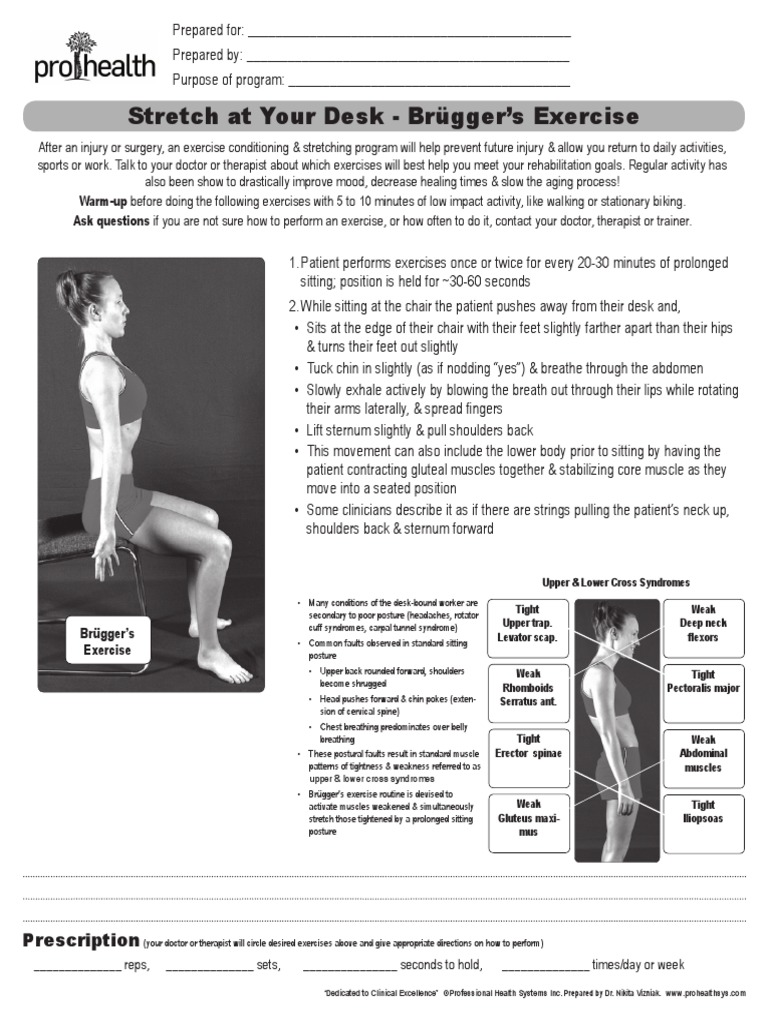 MM SS Bruggers Seated Stretch | Download Free PDF | Abdomen | Human Anatomy