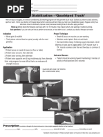 Chiropractic Exam Form | PDF