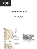 Michigan Hand Score | PDF | Handedness | Hand