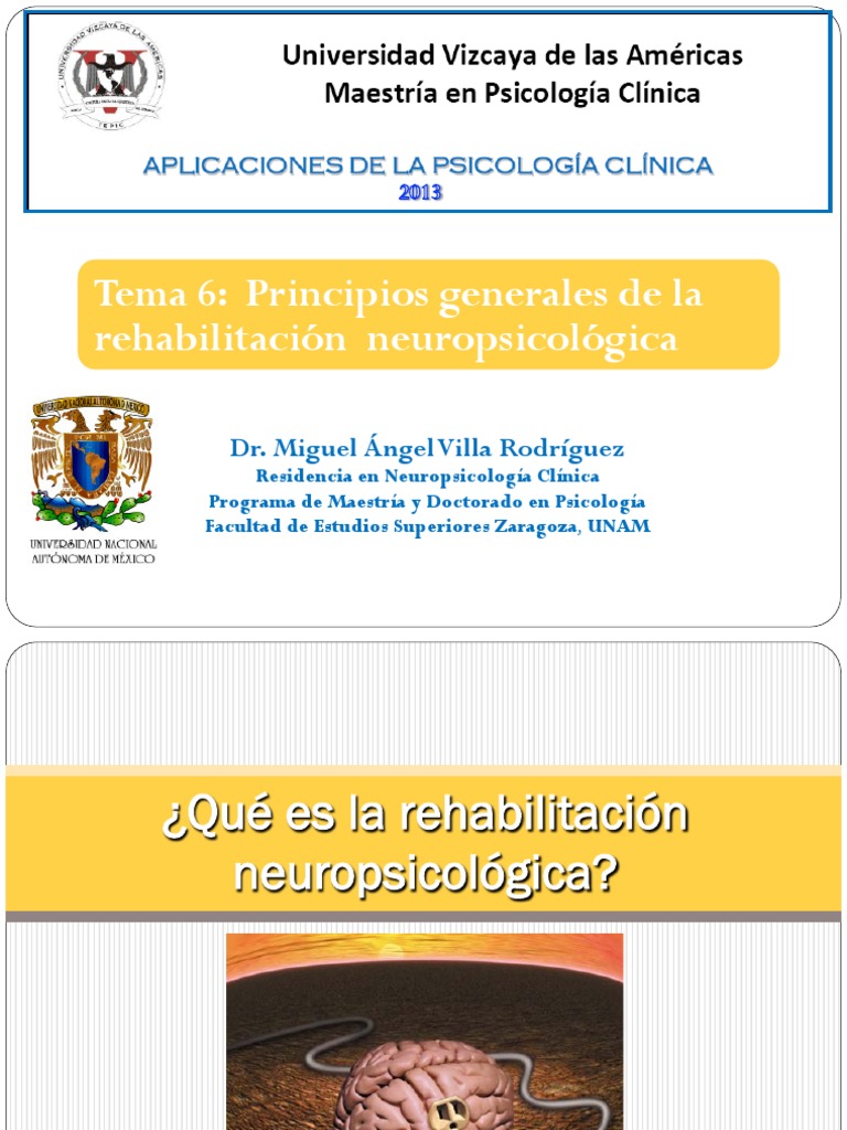 2013 7 Principios de La Rehabilitacion Npsic PDF | PDF