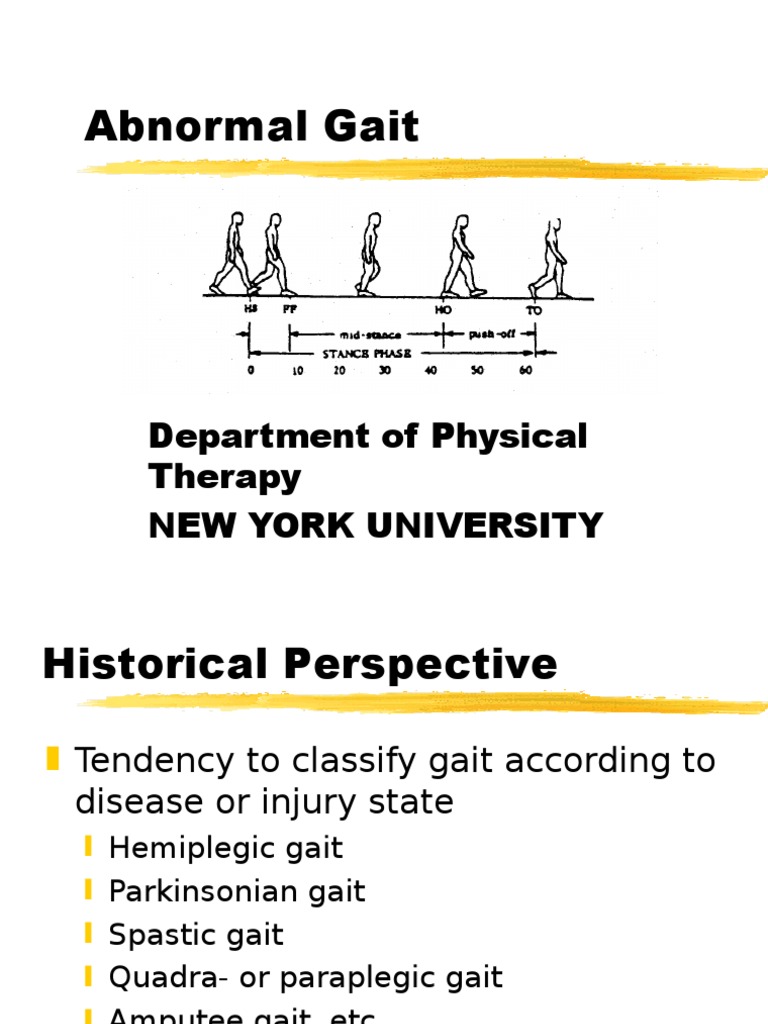 Abnormal Gait | Anatomical Terms Of Motion | Ankle
