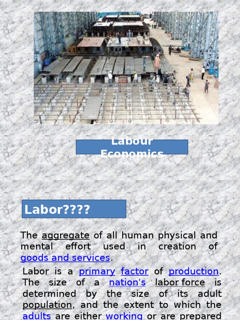 Introduction To Labour Economics And Personnel Economics T Labour