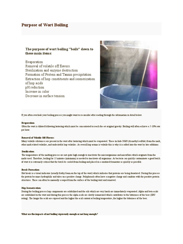 Wort Boiling Essentials for Brewers | PDF | Hops | Brewing