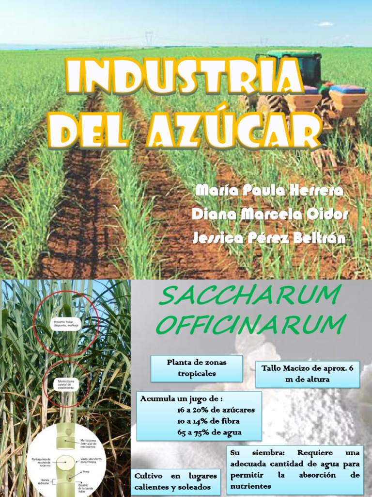 Industria Del Azucar. Procesos PDF | PDF | Azúcar | Dieta y nutrición