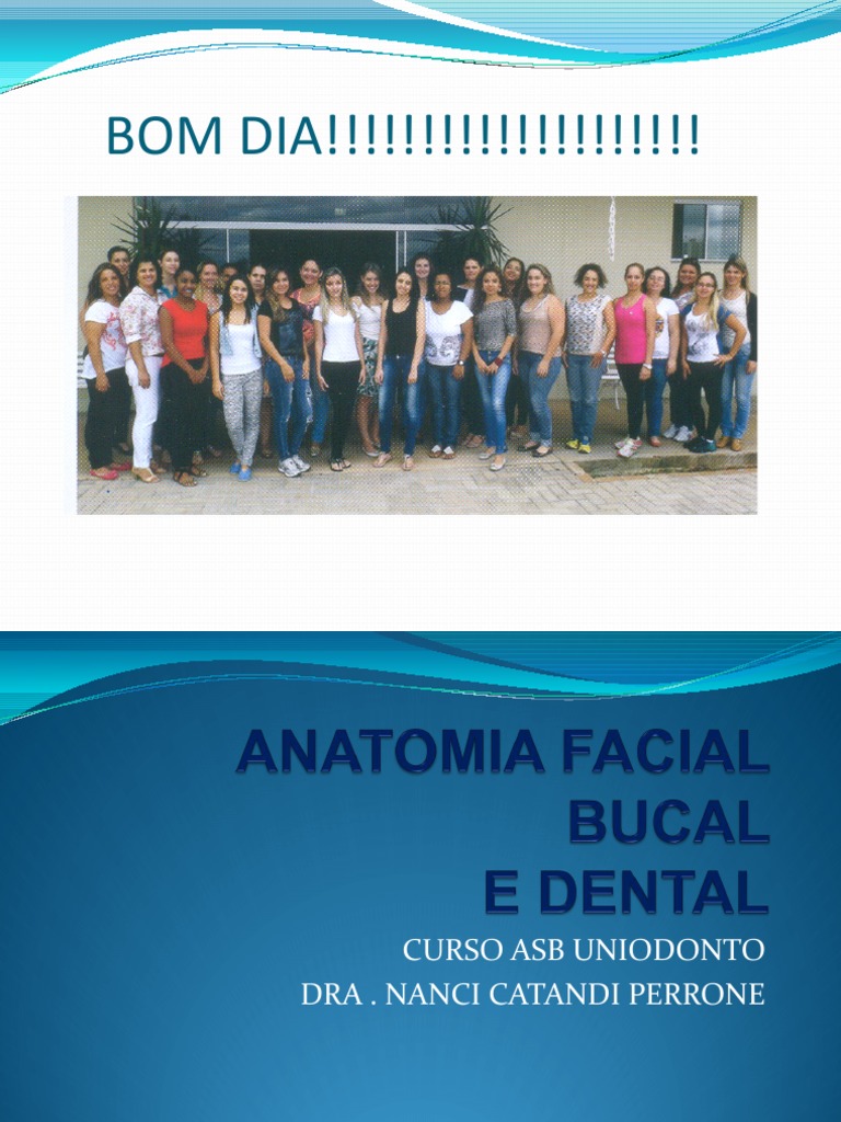 Ossos da Face e Estruturas da Cavidade Oral | PDF | Dente | Língua