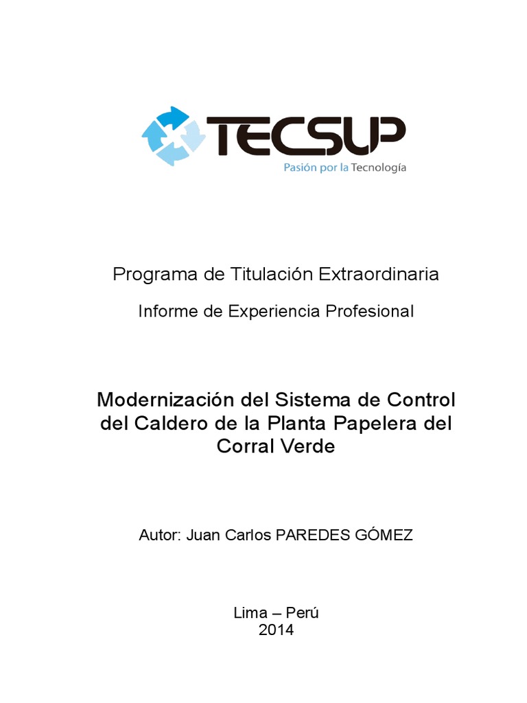05 Modelo de Informe de Experiencia Profesional TEC | PDF