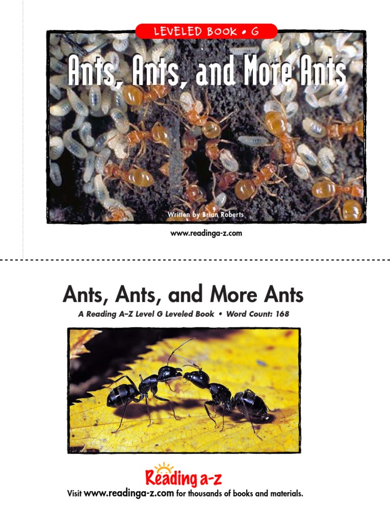 Ants Ants and More Ants PDF | PDF | Ant | Nest