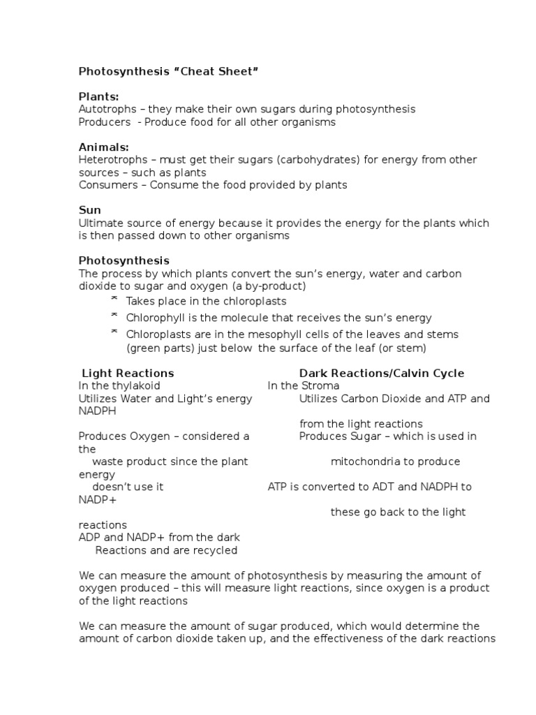 Photosynthesis "Cheat Sheet" Plants | PDF