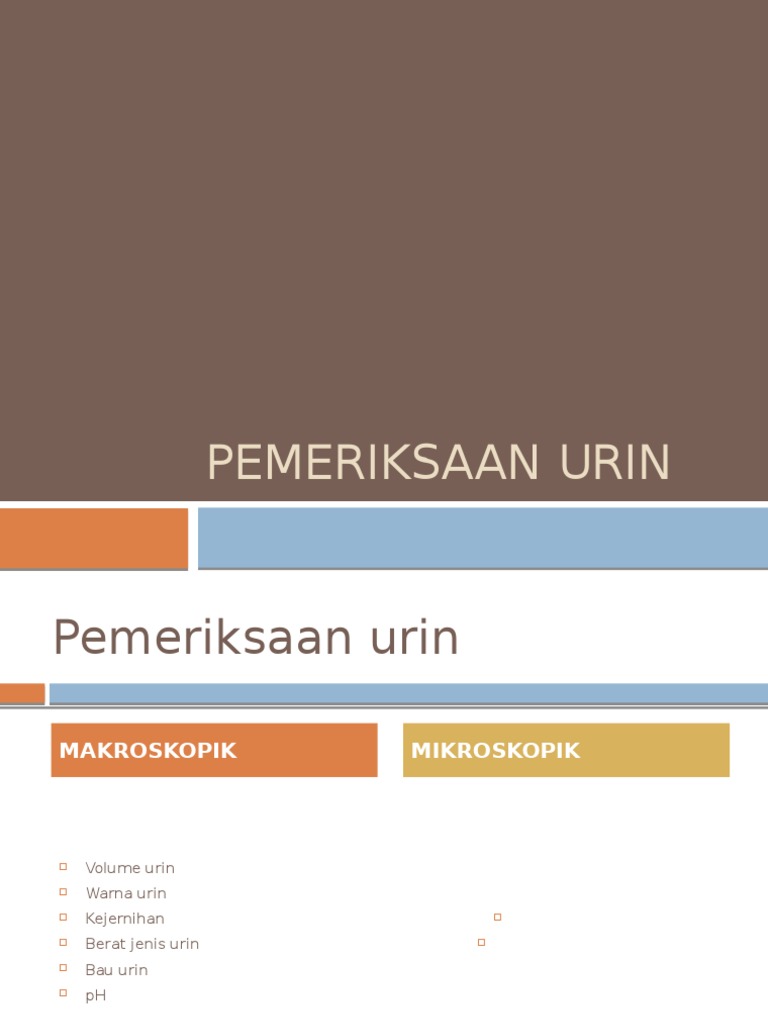 Pemeriksaan Urin | PDF