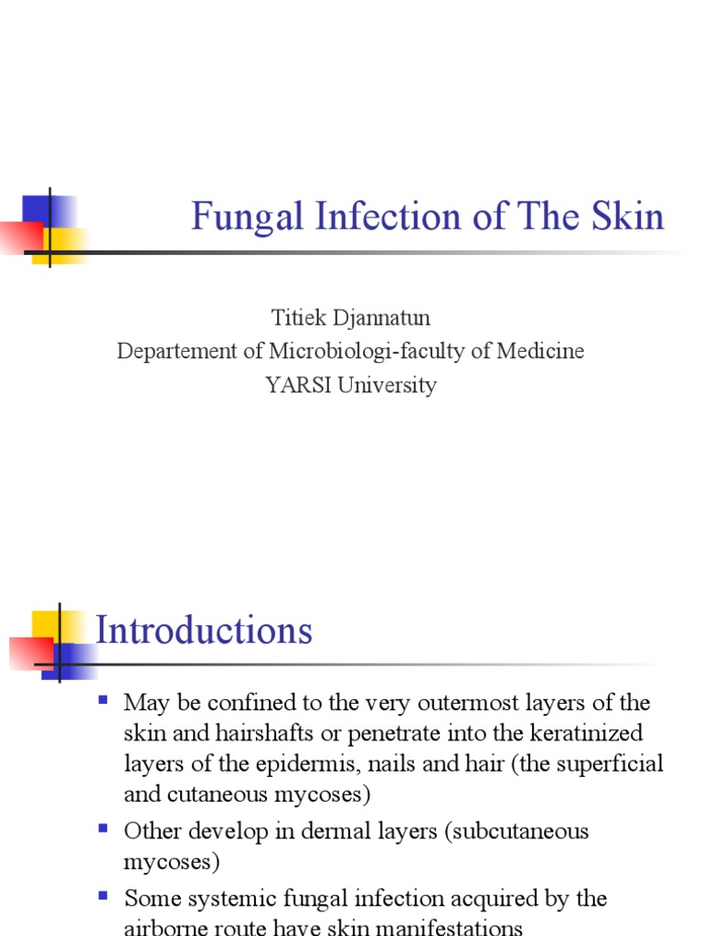 Fungal Infection of the Skin | Fungus | Public Health