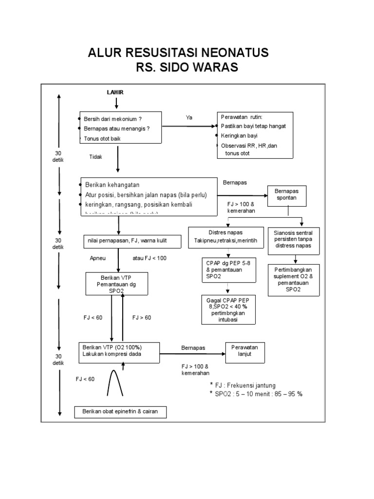 Alur Resusitasi Neonatus 2015 | PDF