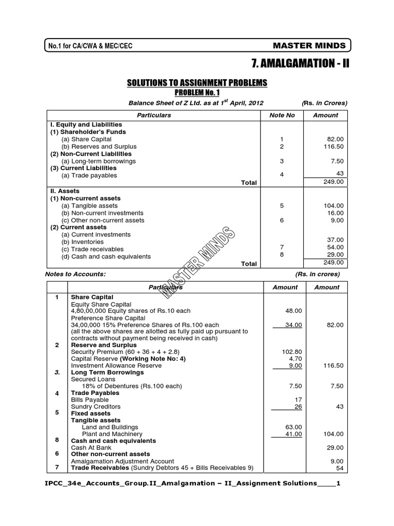 Amalgamation II | PDF | Equity (Finance) | Balance Sheet