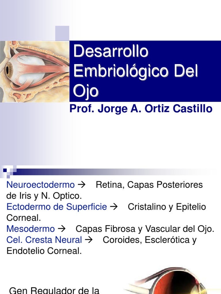 Embriología de Ojo | PDF | Ojo humano | Retina