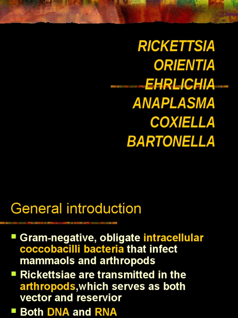 Rickettsia | PDF | Clinical Pathology | Microbiology