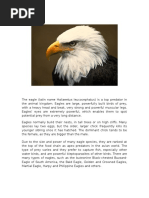 Overview of Eagle Taxonomy and Species | PDF