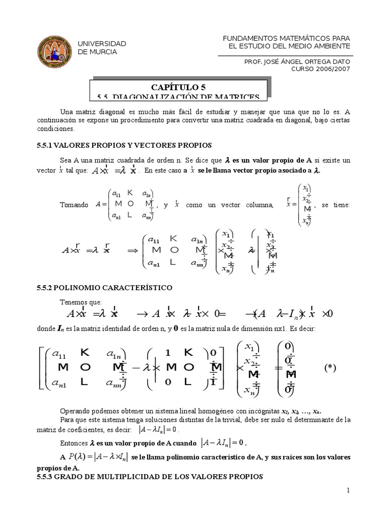 Diagonalización de Matrices | Valores propios y vectores propios | Matriz (Matemáticas)