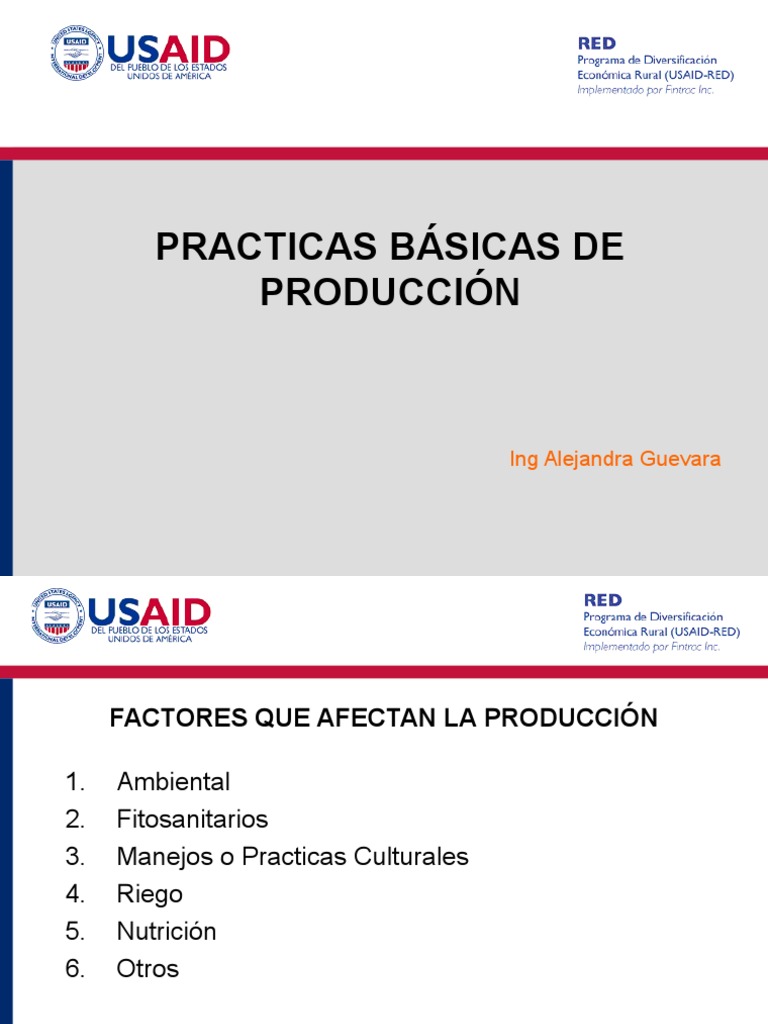 Practicas Básicas de Producción | PDF | Riego | Pesticida