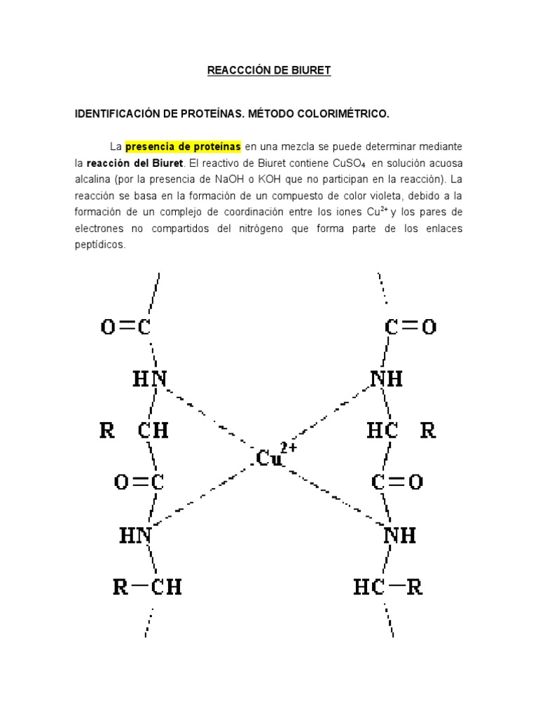 Guias 6a - Reacción de Biuret (Fundamento y Procedimiento - Separata ...
