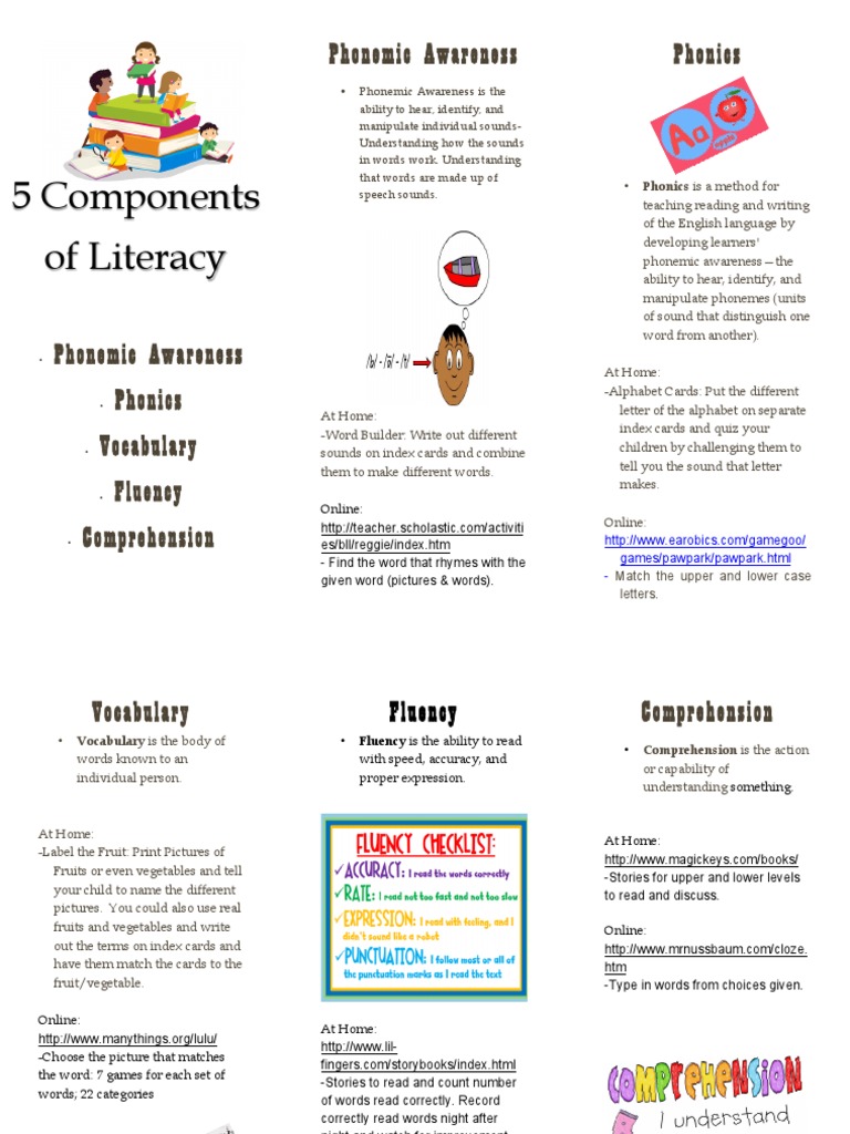 5 Key Literacy Components Explained | PDF