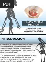 Anatomía y Cultura de las Nalgas | PDF | Nalgas | Anatomía humana