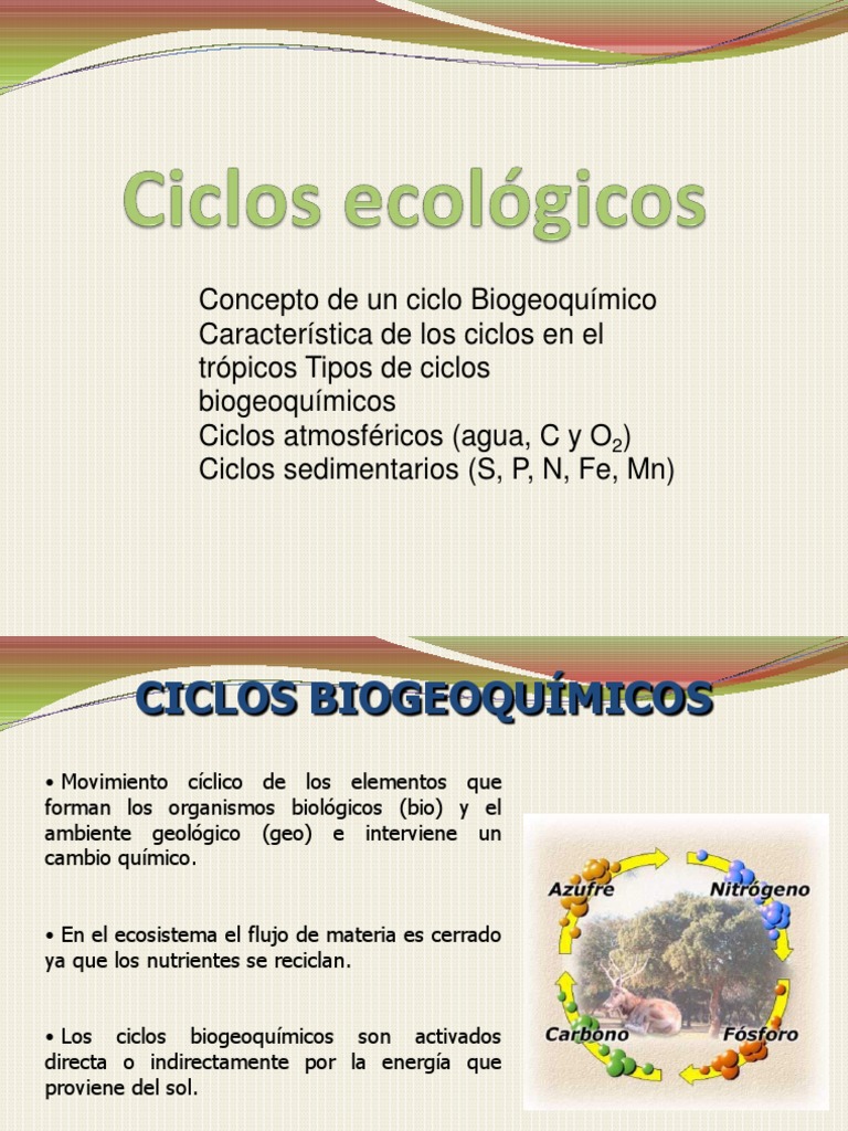 Clase 5 Ciclos Ecologicos | PDF | Azufre | Agua