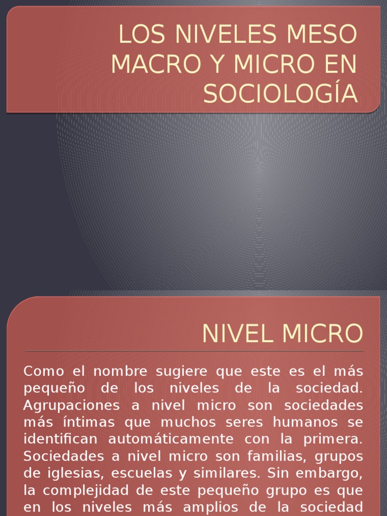 Los Niveles Meso Macro y Micro en Sociología | PDF | Sociología | Sociedad
