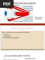 Exoforias 1 | PDF | Rtt | Enfermedades del ojo y anexos
