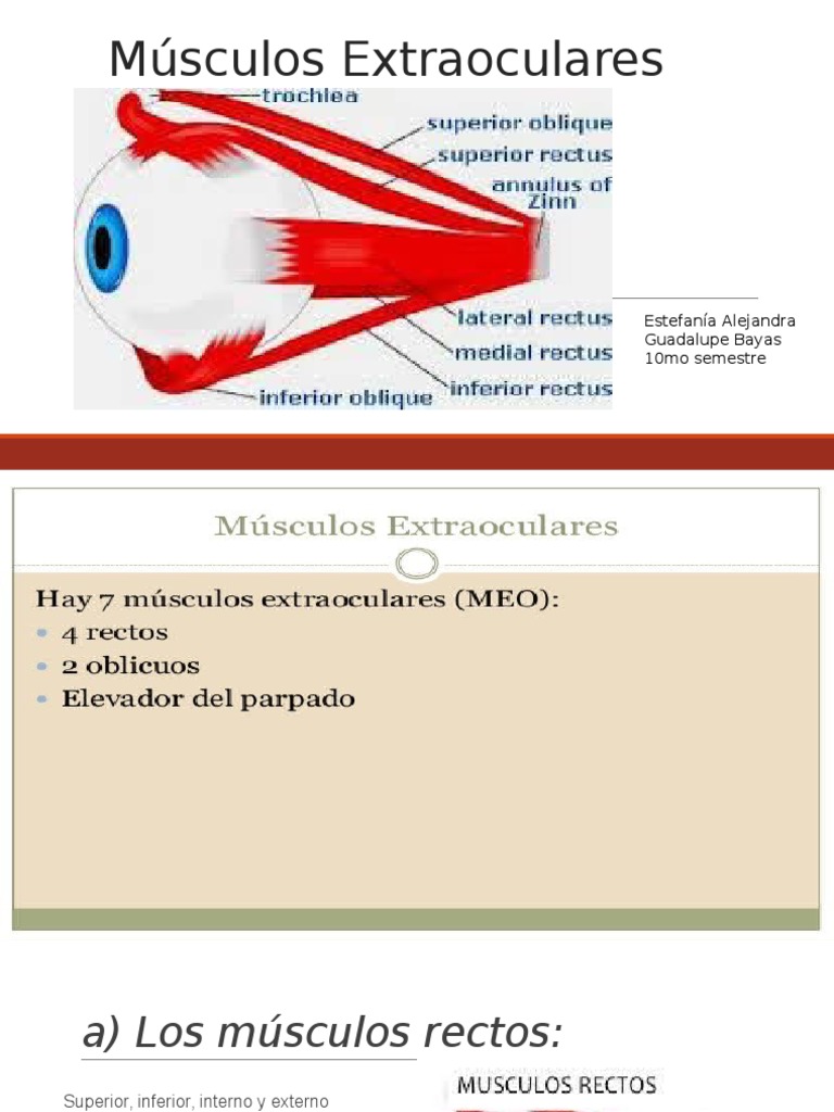 Músculos Extraoculares Final | Ojo | Oftalmología