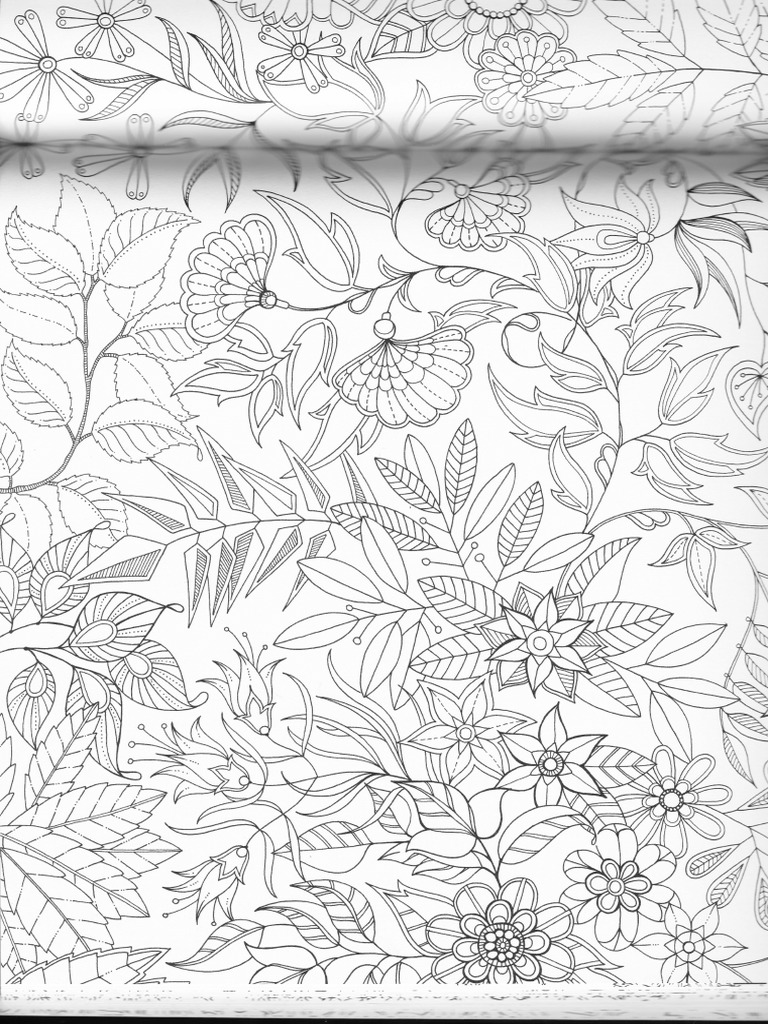 Gradina Secreta - Carte de Colorat | PDF