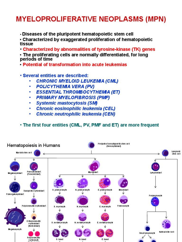 5 Myeloproliferative Neoplasms | PDF | Hematology | Blood
