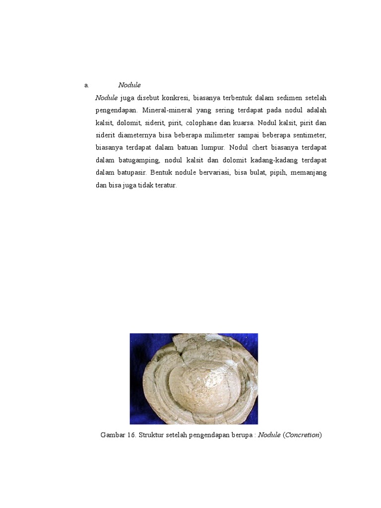 Struktur Sedimen dan Bioturbasi | PDF | Batuan Sedimen | Batuan (Geologi)