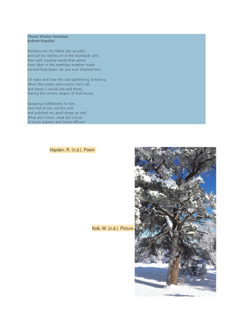 Understanding "Those Winter Sundays" Poem | PDF