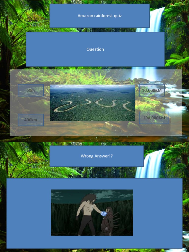 Amazon Rainforest Quiz Challenge | PDF | Leisure
