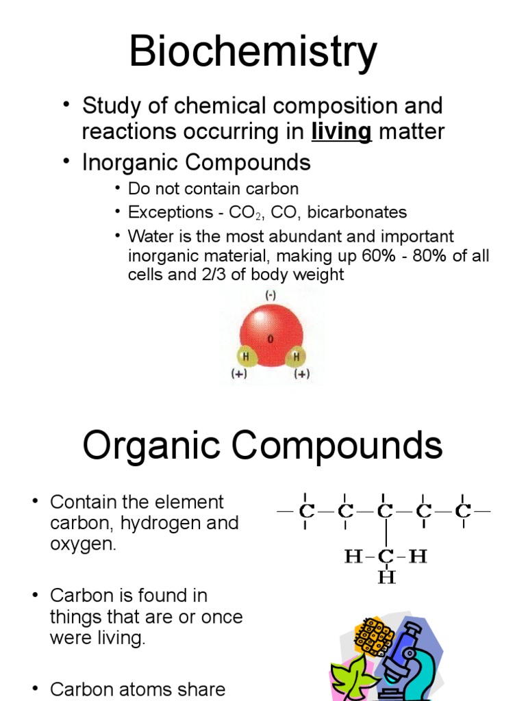 Structure of Organic Compounds | PDF | Carbohydrates | Lipid
