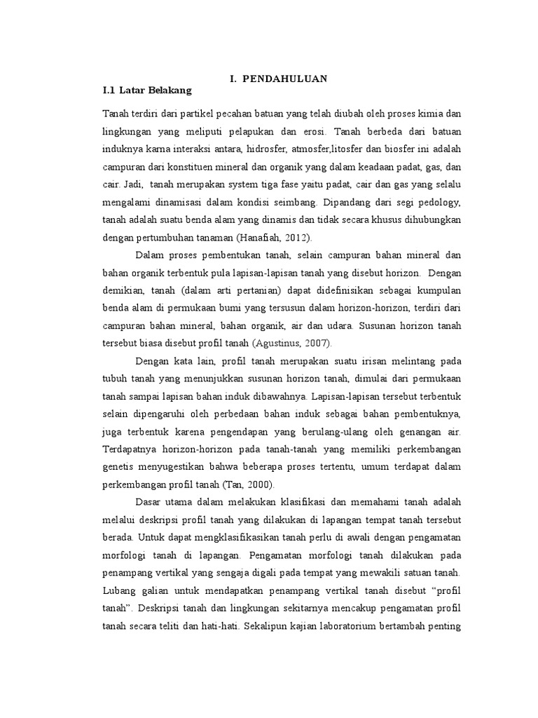 Lap Profil Tanah | PDF
