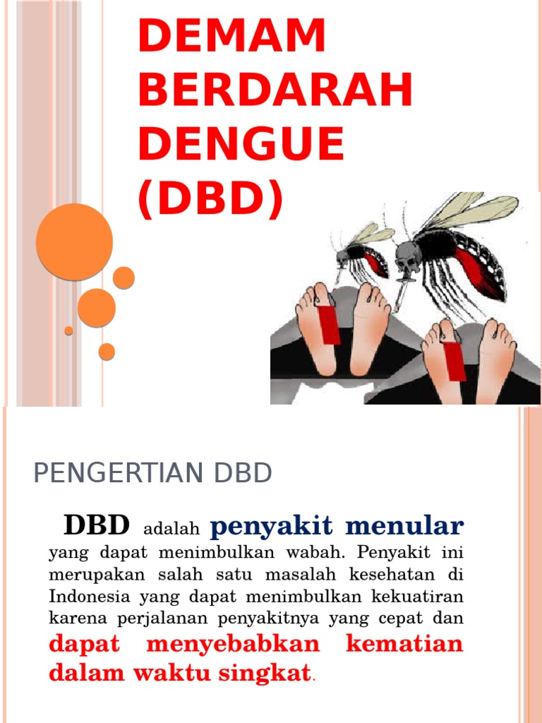 Penyuluhan Demam Berdarah Dengue | PDF