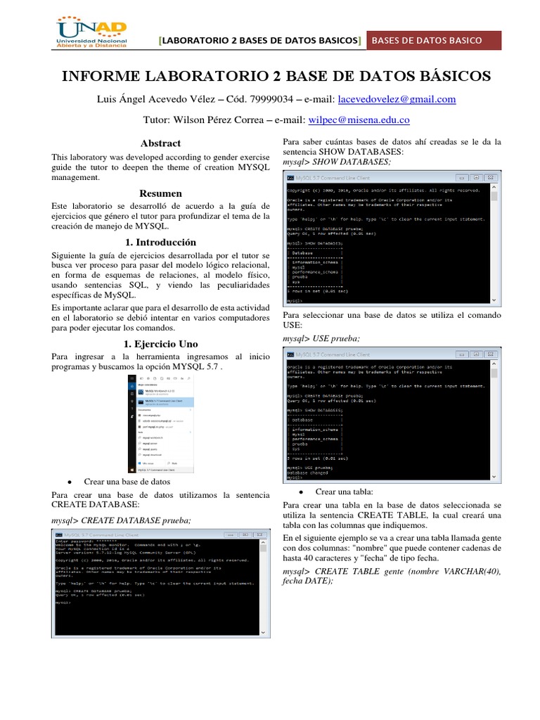 Laboratorio 2 Bases de Datos Basicos | PDF | Mi sql | SQL