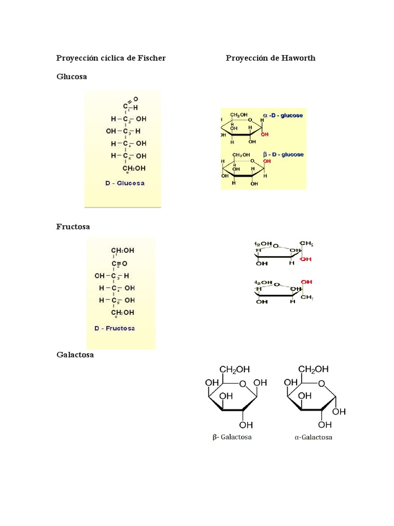 Proyección Cíclica de Fischer Proyección de Haworth-Galactosa, Fructosa ...