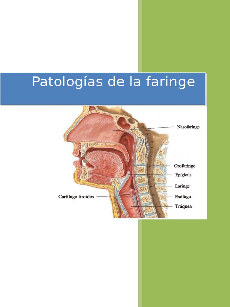 Patologías Inflamatorias de la Faringe | PDF | Lesión | Resfriado comun