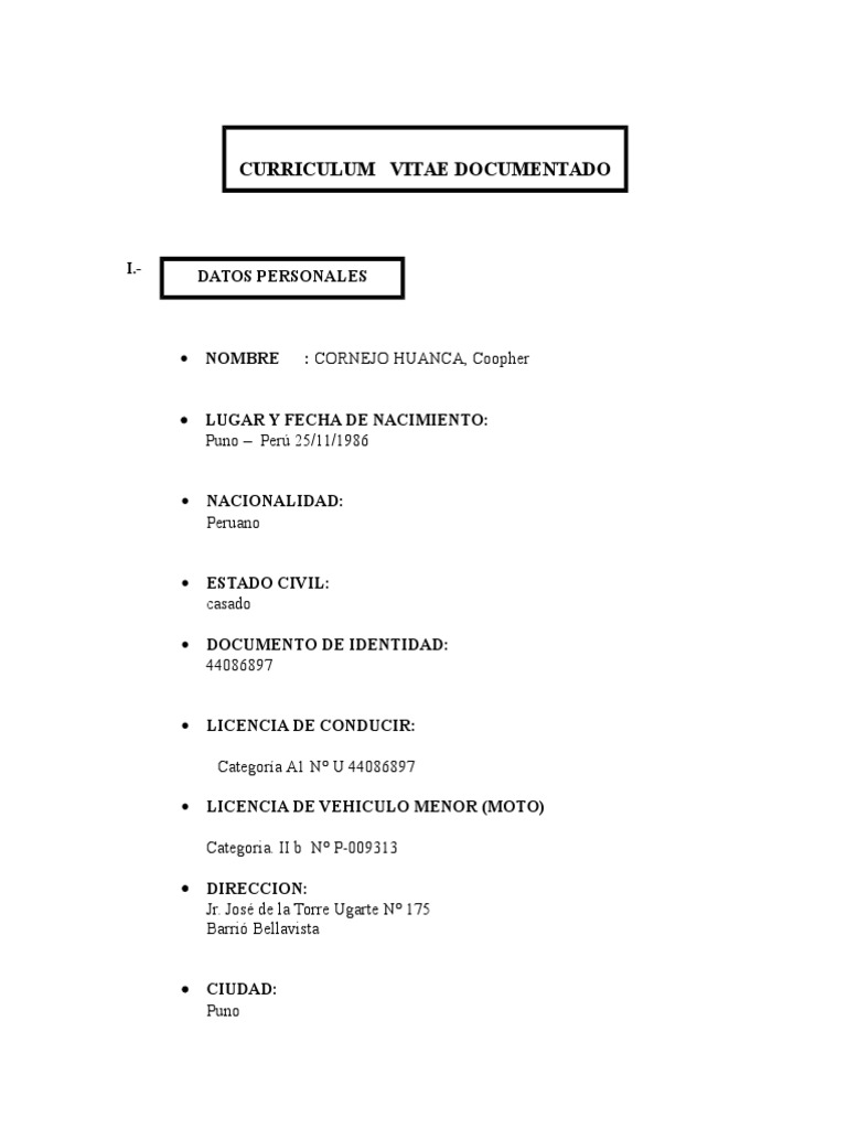 CURRICULUM - Docx2 (Coopher Cornejo H.) | PDF