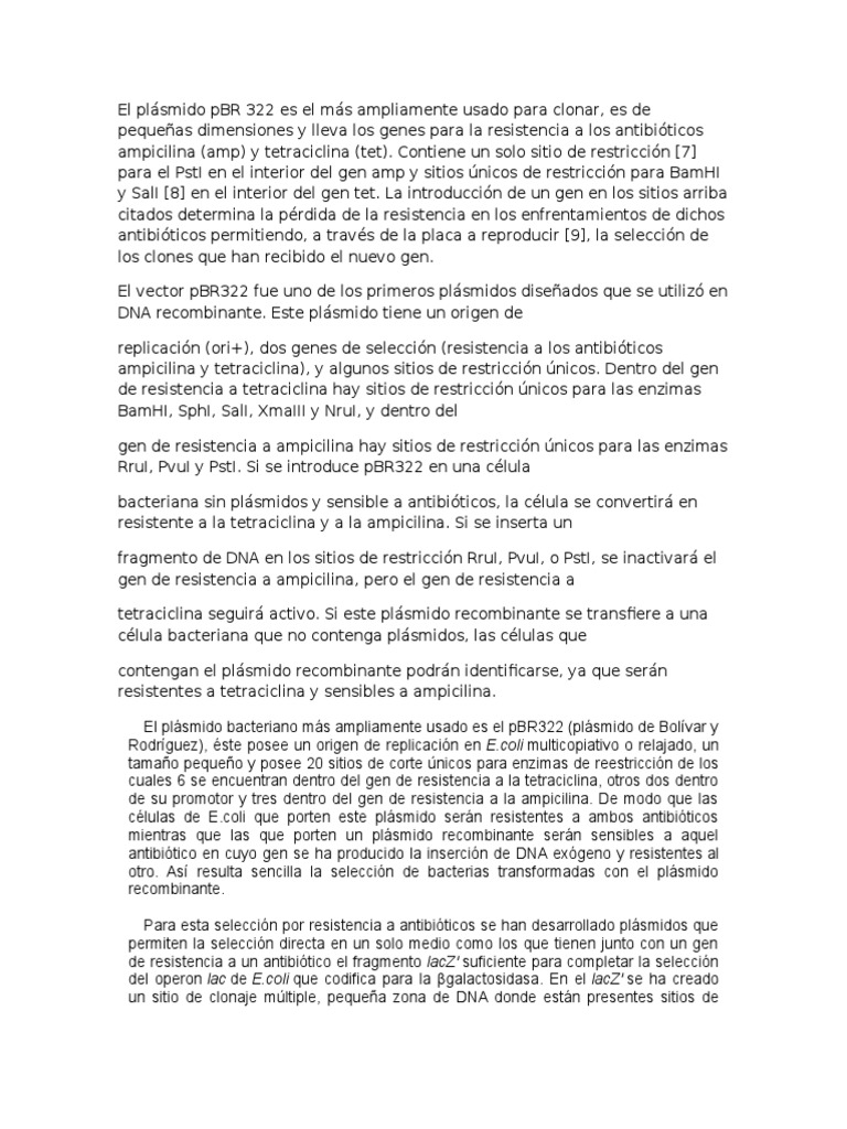 Características del plásmido pBR322 | PDF | Plásmido | Adn