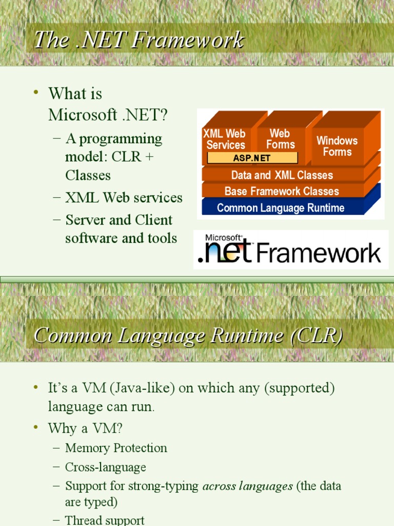 What Is: - A Programming Model: CLR + Classes - XML Web Services - Server and Client Software ...
