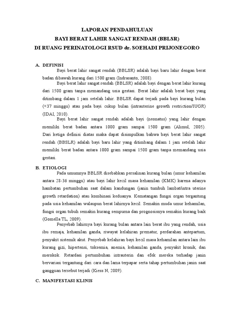 Laporan Pendahuluan BBLSR | PDF