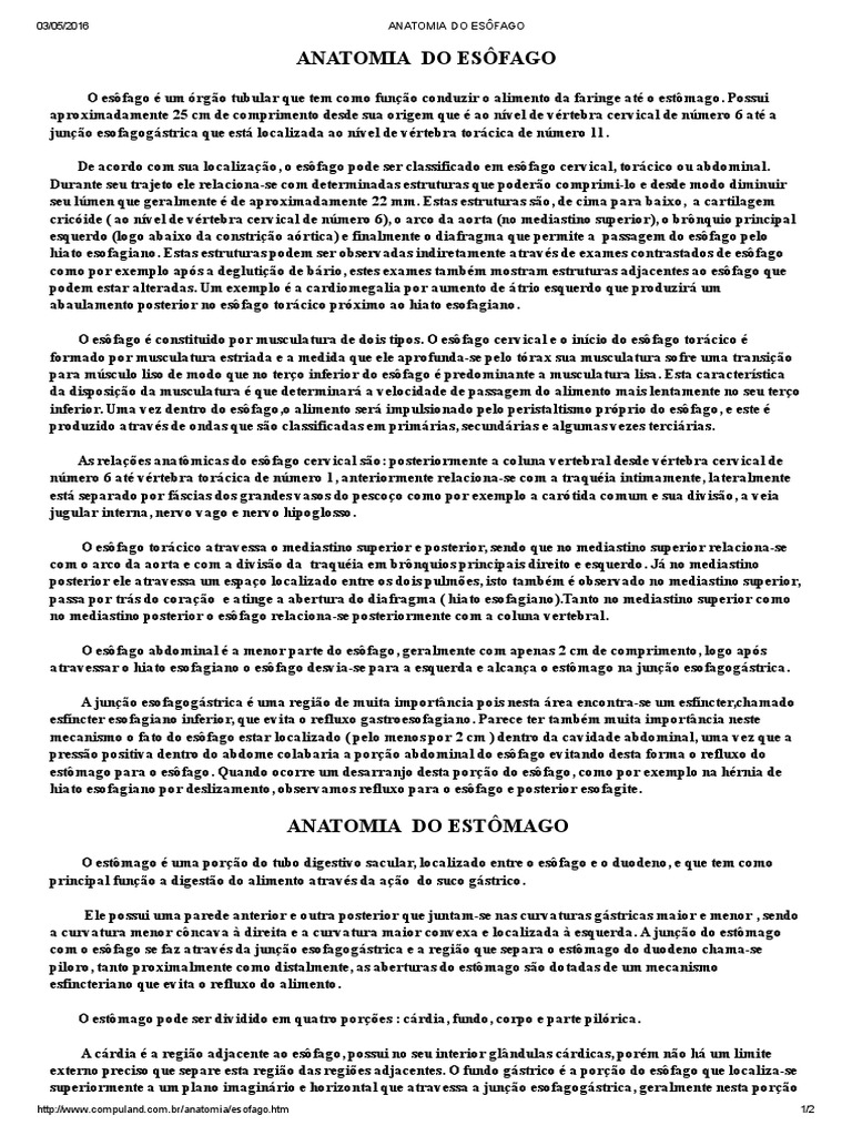Anatomia Do Esôfago PDF | PDF | Estômago | Esôfago