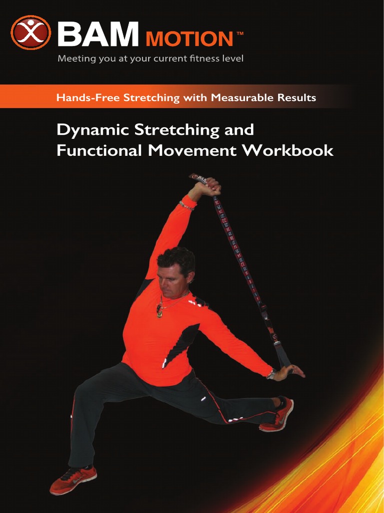 Dynamic Stretching | PDF | Anatomical Terms Of Motion | Physical Fitness