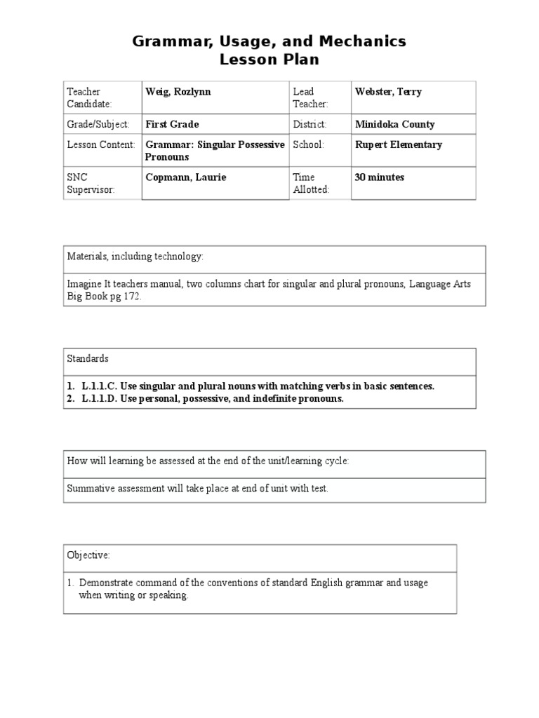 Grammar, Usage, and Mechanics Lesson Plan | PDF | Pronoun | Noun