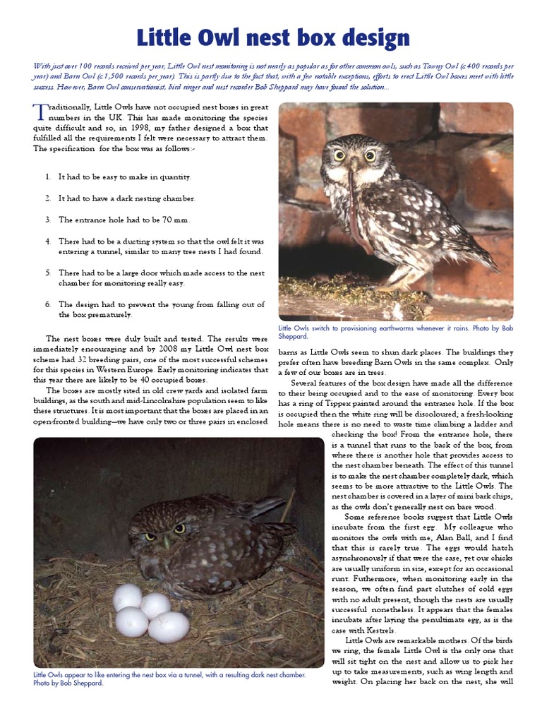 Little Owl Nest Box Design | PDF | Owl | Plywood