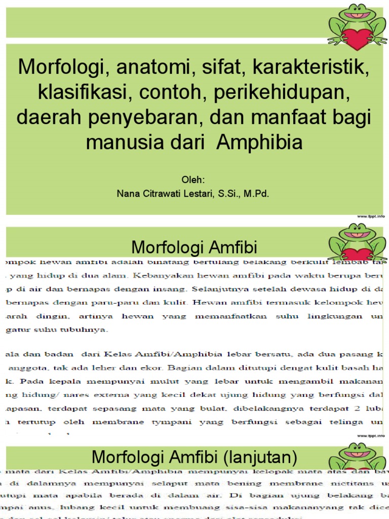 Zoologi Vertebrata Bab 8. Morfologi, Anatomi, Sifat, Karakteristik ...