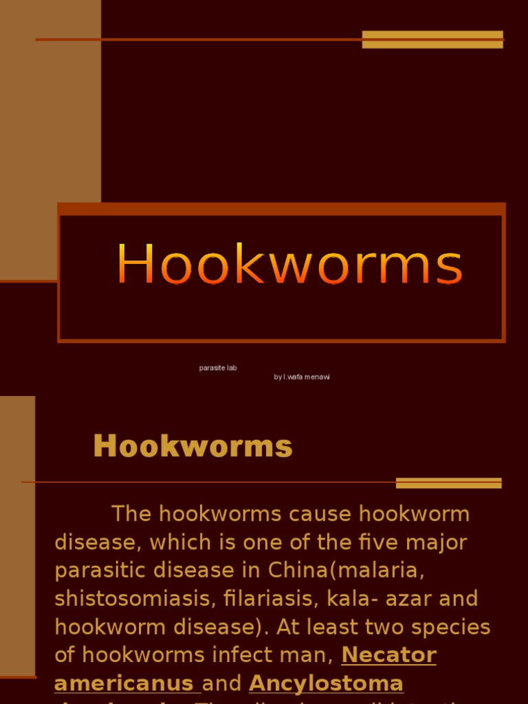 Hookworm | PDF | Epidemiology | Immunology