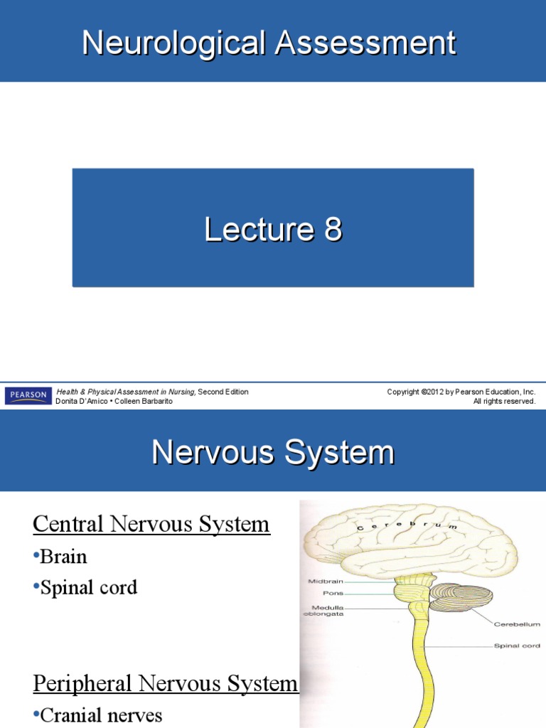 Neurological Assessment.ppt | Nervous System | Central Nervous System